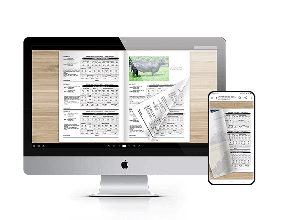 Going Digital • Pivot Design