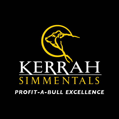 Kerrah Simmentals • Pivot Design