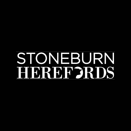 Stoneburn Herefords • Pivot Design