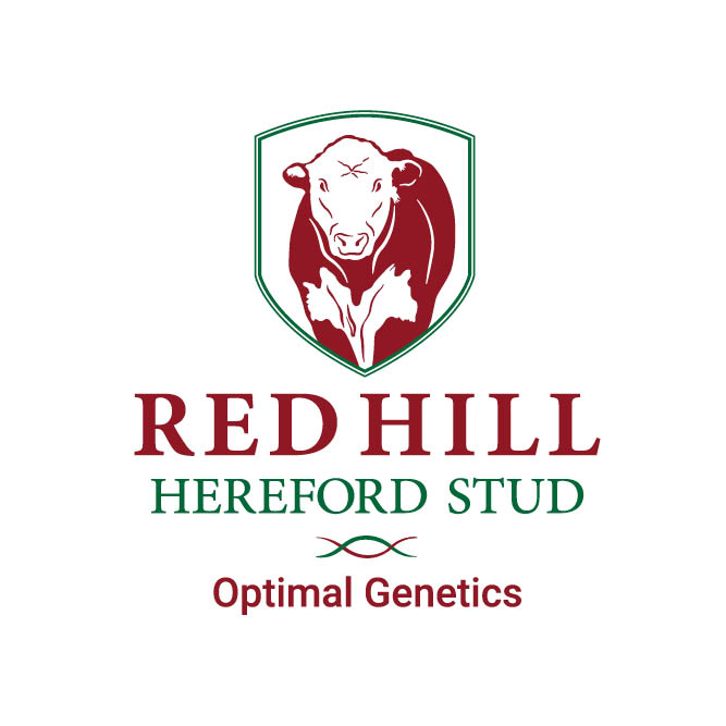 Red Hill Hereford • Pivot Design